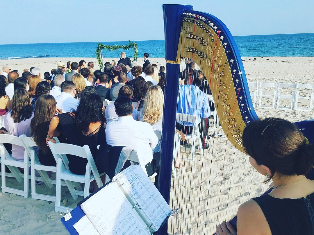 Emily Hopkins - Harpedalist - Martin Yam Møller